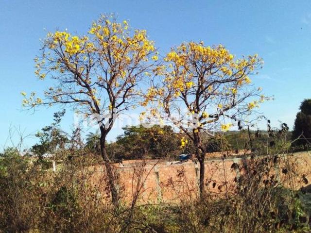 Terreno à Venda, Granja Ouro Branco, Contagem