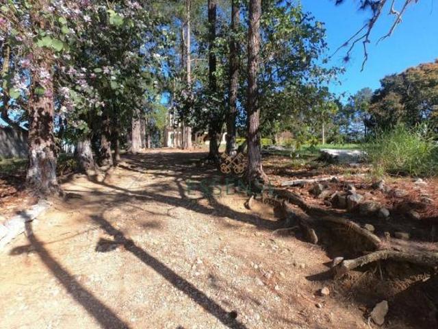 Terreno à Venda de 24.200 m² na Estrada Municipal São Bento do Lambarí em Mogi das Cruzes/SP