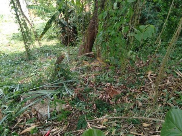 Terreno à venda de 426m² em Águas de São Pedro
