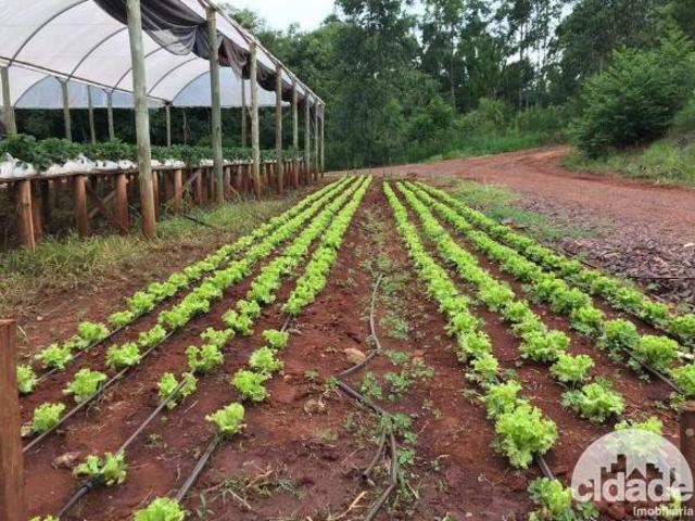 Terreno à venda, Distrito de São João D&apos oeste Cascavel/Pr