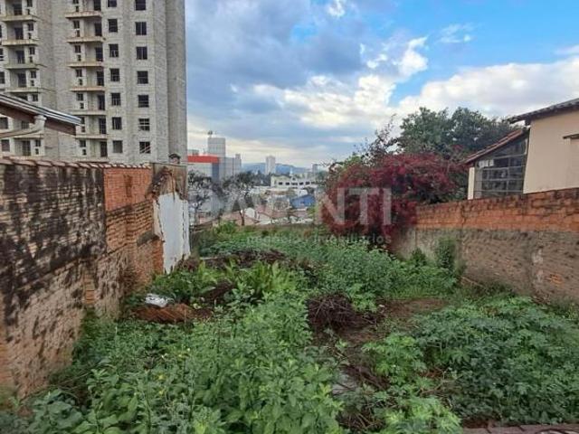 terreno á venda e para aluguel em Castelo