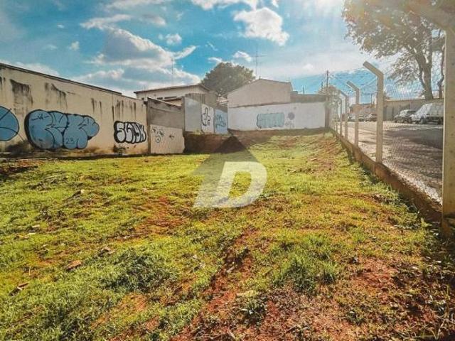 terreno á venda e para aluguel em Jardim Bela Vista