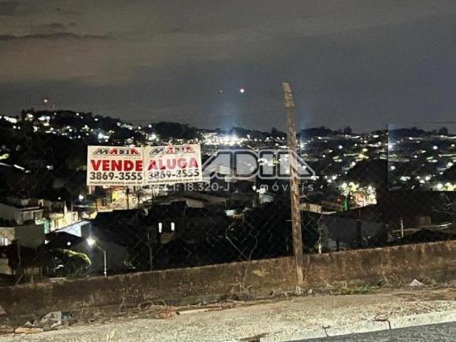 terreno à venda em Jardim das Vitórias Régias