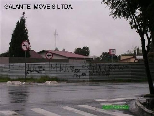 terreno á venda e para aluguel em Jardim das Paineiras