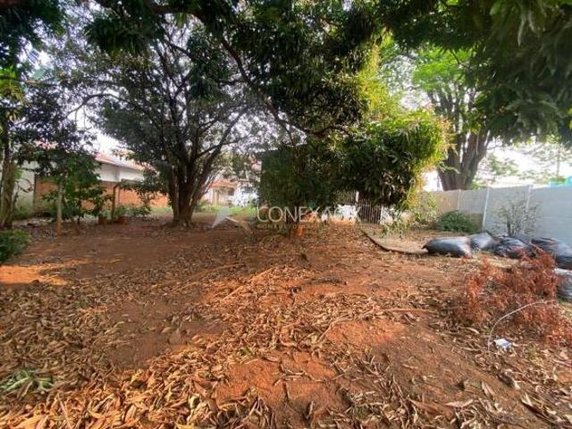 terreno á venda e para aluguel em Jardim Guanabara