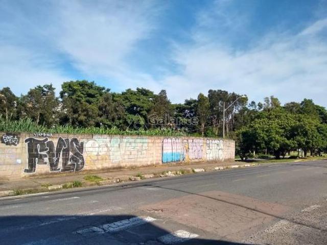 terreno á venda e para aluguel em Jardim Guarani