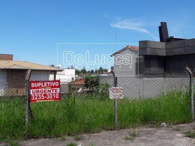 terreno á venda e para aluguel em Nova Campinas
