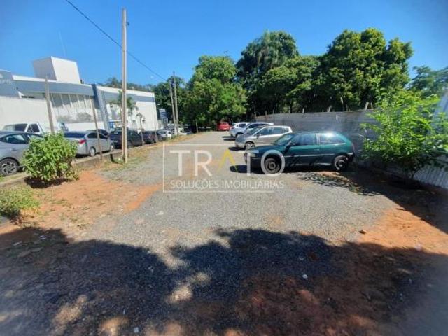 terreno á venda e para aluguel em Taquaral