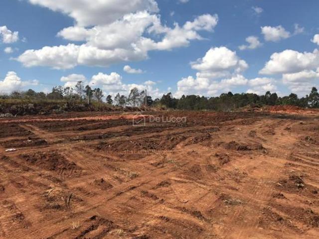 terreno á venda e para aluguel em Vila Ipê