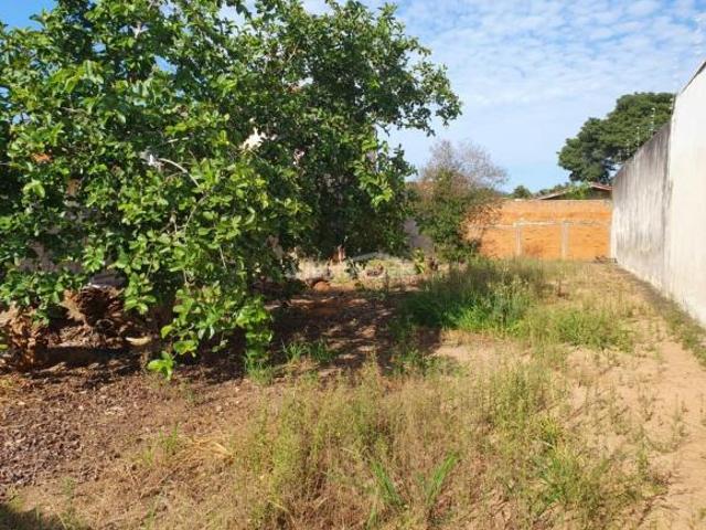 terreno á venda e para aluguel em Vila Nogueira