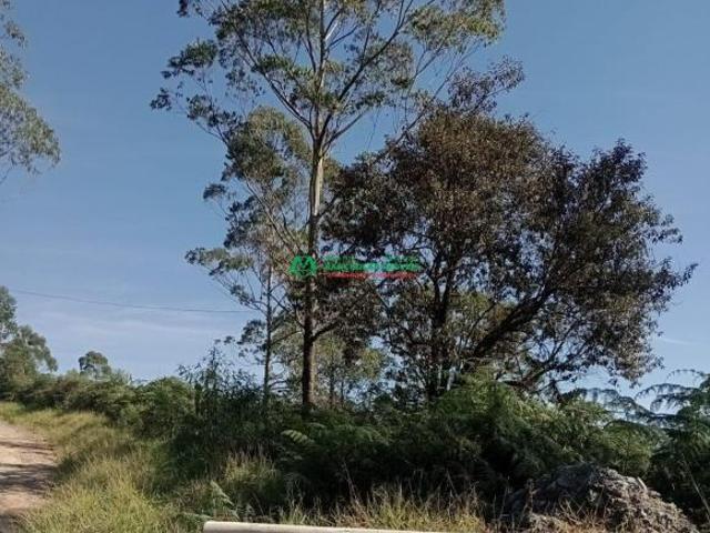 Terreno à venda em Cotia