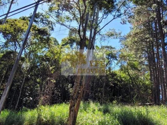 Terreno à venda em Cotia SP, Quinta dos Ângicos II com 5.737,00 m² Oportunidade única!