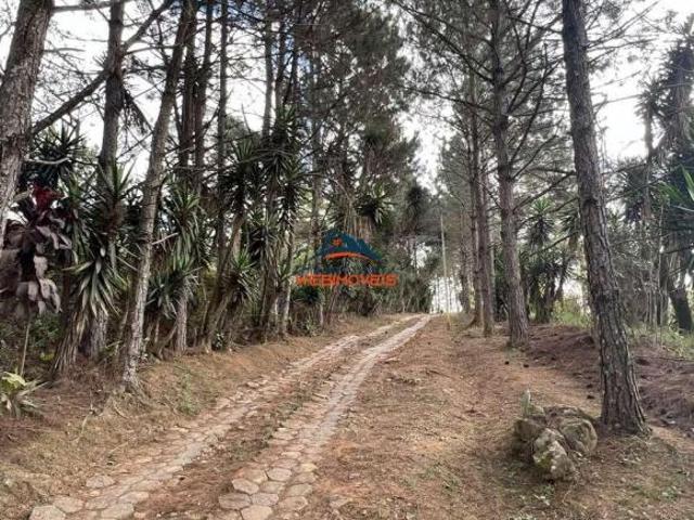 Terreno à venda em Cotia SP, Taboleiro Verde 18.455,40 m² de área!