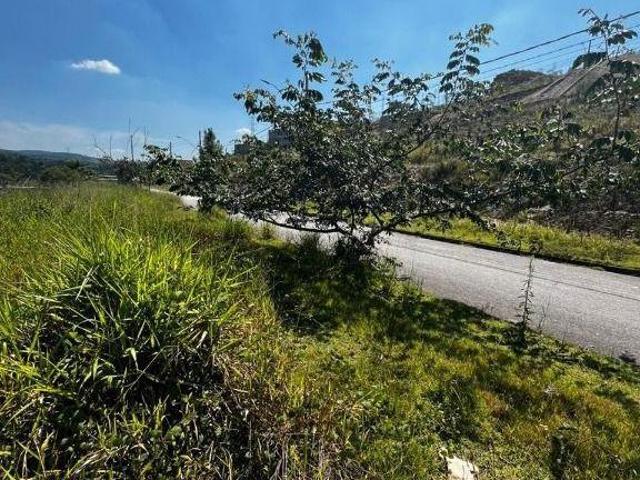 Terreno à venda em Cotia, Pitas