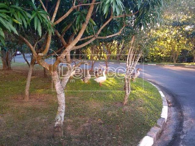 terreno à venda em Colinas do Ermitage Sousas