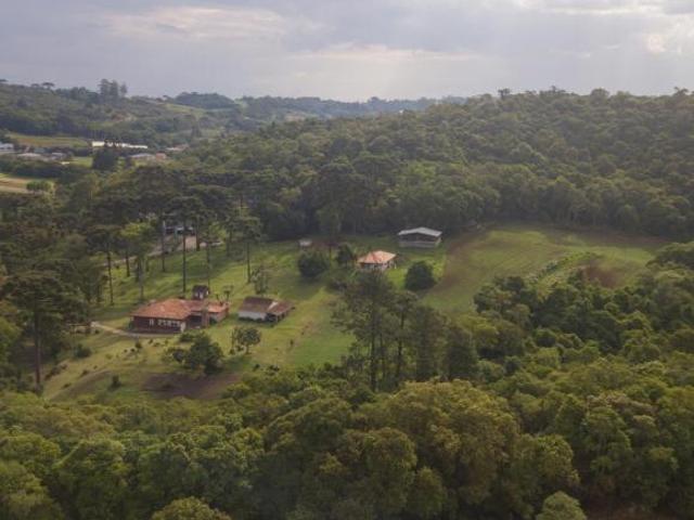 Terreno à venda em Colombo ARYA1