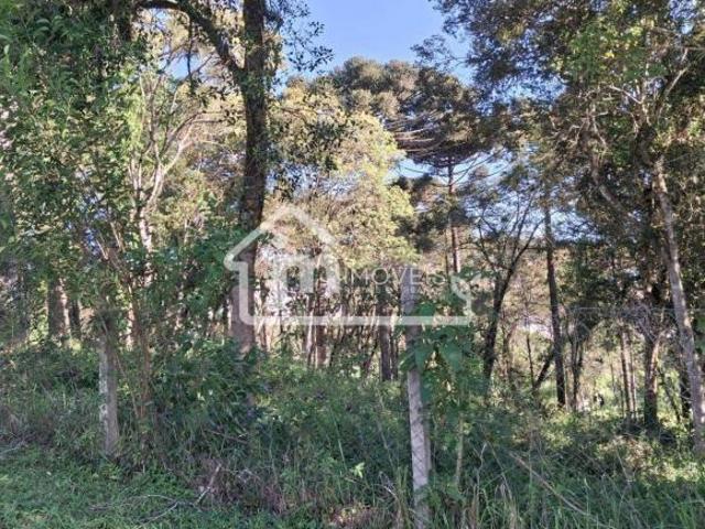Terreno à venda em Condomínio no Bairro Moradias Bom Jesus Campo Largo/PR