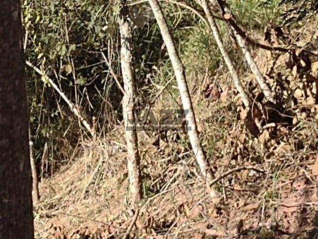 Terreno à Venda em Condomínio Rural na Zona Norte Excelente Oportunidade para Investir e Construir