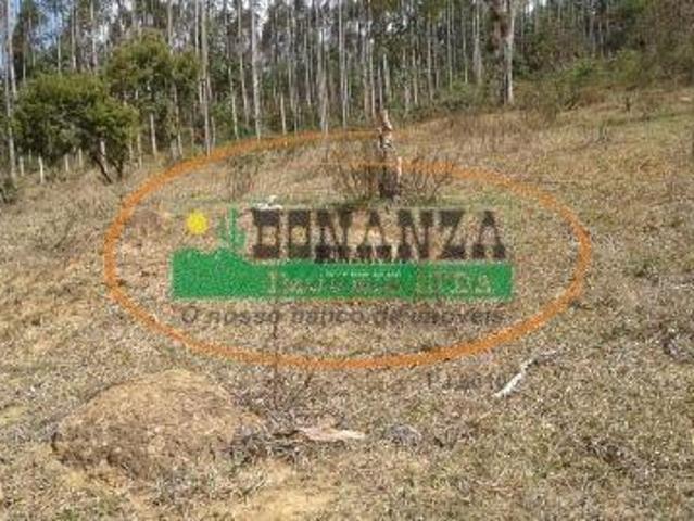 Terreno à venda em Conselheiro Lafaiete