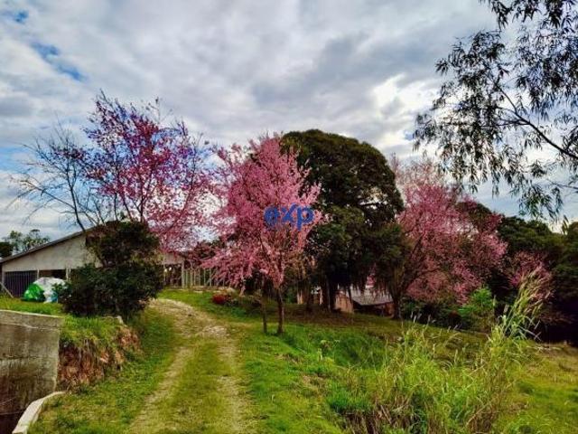 Terreno a venda em Contenda no Paraná de 100.170m2