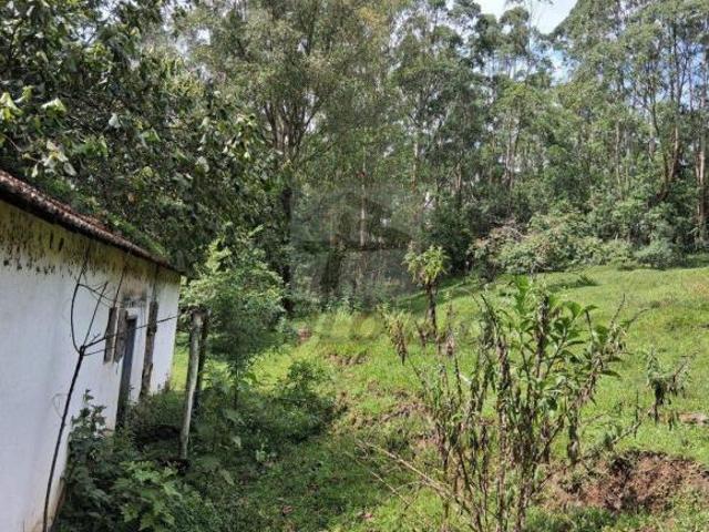Terreno à venda em Cooperativa