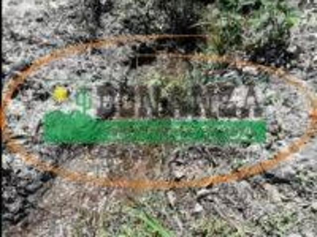 Terreno à venda em Coronel Xavier Chaves