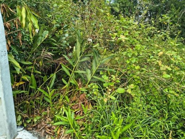 Terreno à venda em Costa do sol SP