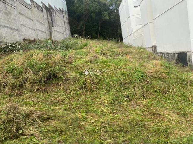 Terreno à venda em Caxias do Sul
