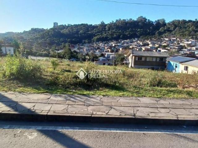Terreno à venda em Caxias do Sul