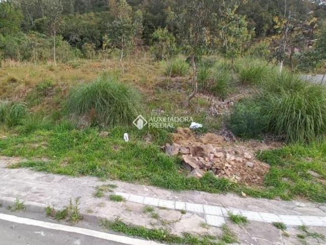 Terreno à venda em Caxias do Sul