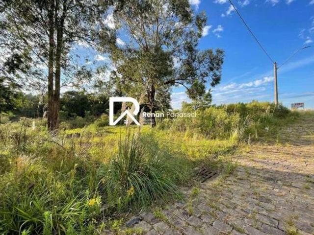 Terreno à venda em Caxias do Sul, Desvio Rizzo, 360m²
