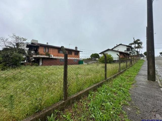 Terreno à venda em Caxias do Sul, Jardim Eldorado Oportunidade única!