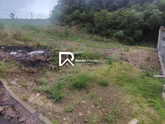 Terreno à venda em Caxias do Sul, Nossa Senhora das Graças, 313,41m²