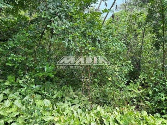 terreno à venda em Cachoeira