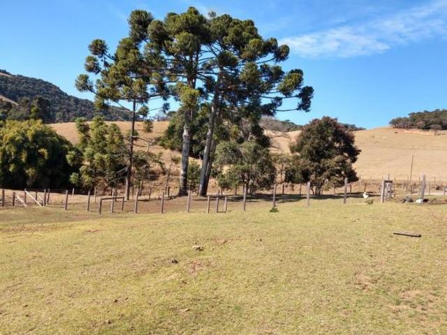 Terreno á Venda em Cambuí MG