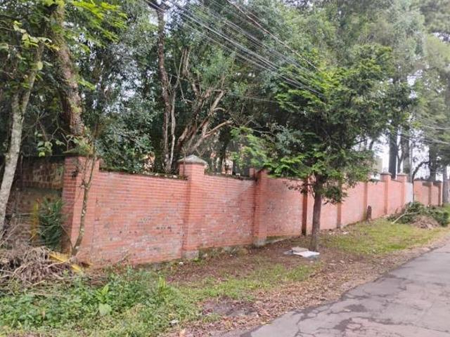 Terreno à venda em Campo comprido PR