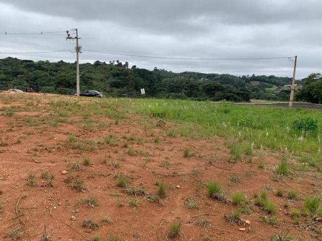 Terreno a Venda em Campo Largo 851 m2