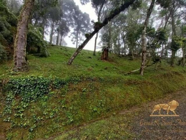 Terreno à venda em Campos do Jordão de R$690mil por R$550mil