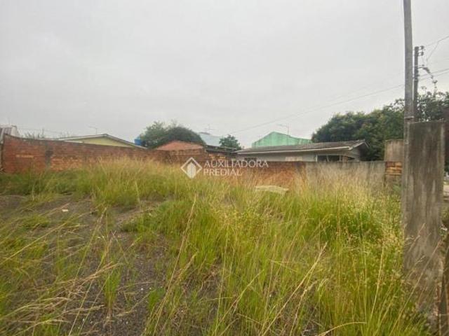 Terreno à venda em Campina