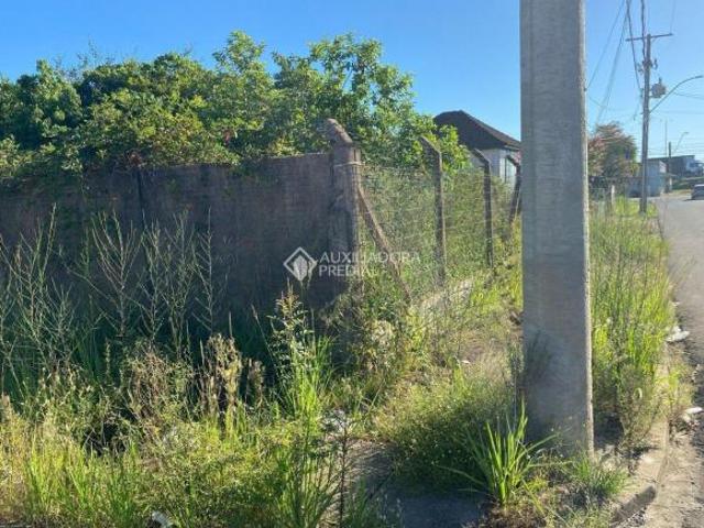 Vende terreno Campina