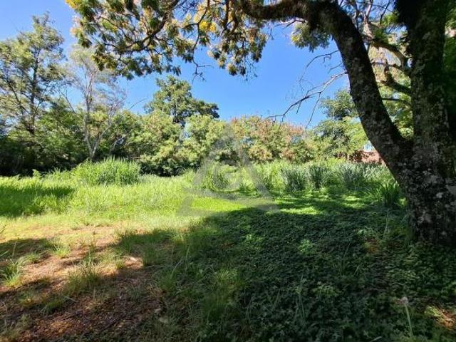Terreno à venda em Campinas, Condomínio Chácaras do Alto da Nova Campinas, com 5970 m²