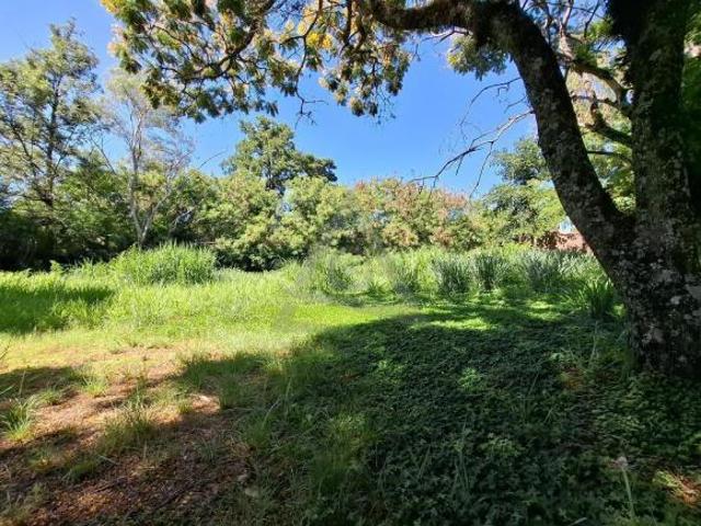 Terreno à venda em Campinas, Condomínio Chácaras do Alto da Nova Campinas, com 5970 m²