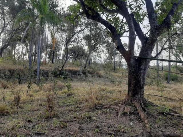 Terreno à venda em Campinas, Chácara Belvedere, com 2907 m²