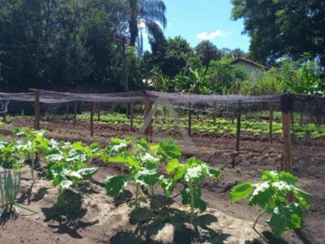 Terreno à venda em Campinas, Bosque das Palmeiras, com 1466 m²