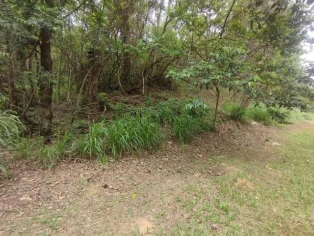 Terreno à venda em Campinas, Joaquim Egídio, com 1699 m², Morada das Nascentes