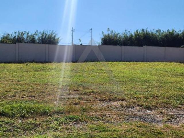 Terreno à venda em Campinas, Jardim Madalena, com 487 m², Artesano Galleria
