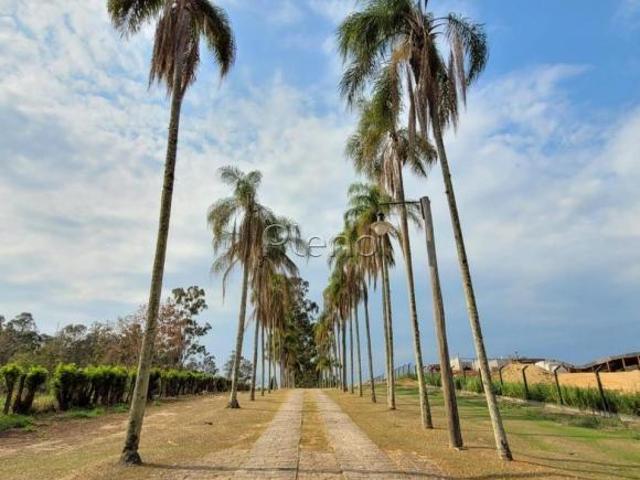 Terreno à venda em Campinas, Jardim Martinelli Sousas, com 21560.37 m²