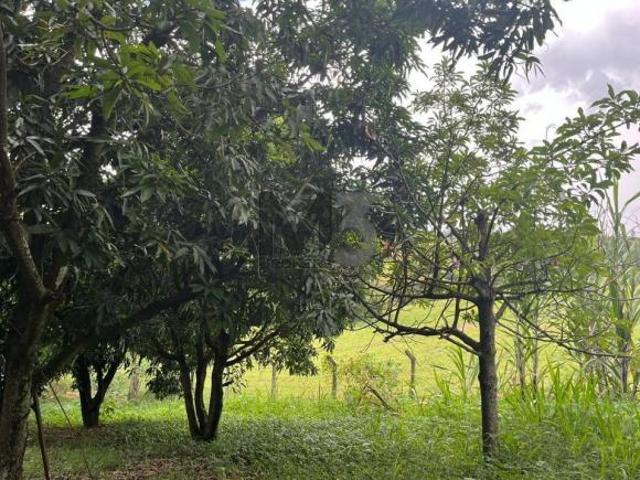 Terreno à venda em Campinas, Jardim Monte Belo, com 1588.68 m²