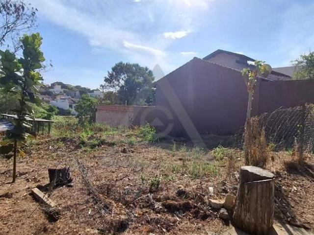 Terreno à venda em Campinas, Jardim das Paineiras, com 290 m²