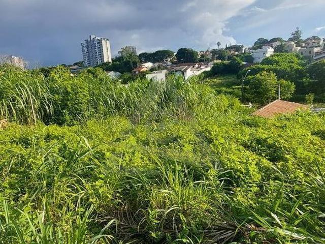 Terreno à venda em Campinas, Jardim das Paineiras, com 378 m²